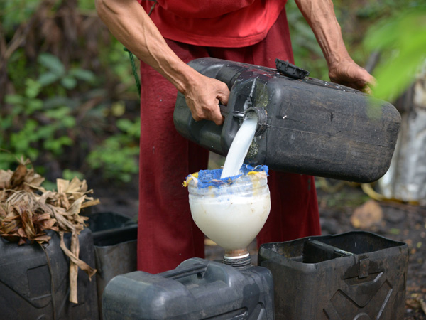 Tuba: The Drink of the Gods - Pulutan Club