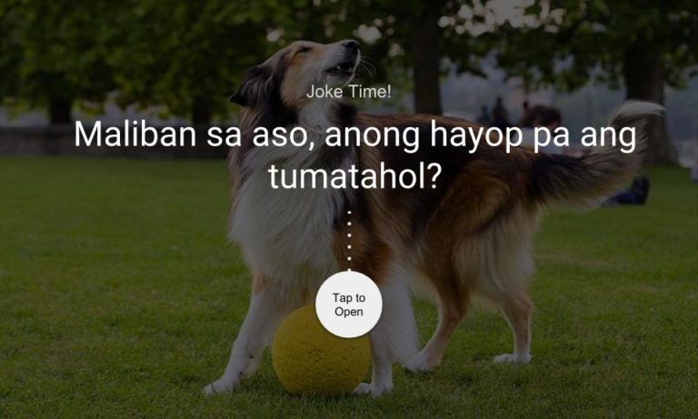 Maliban sa aso, anong hayop pa ang tumatahol? - Pulutan Club