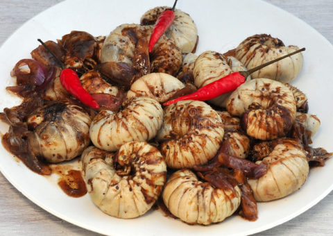 exotic pulutan Archives - Pulutan Club